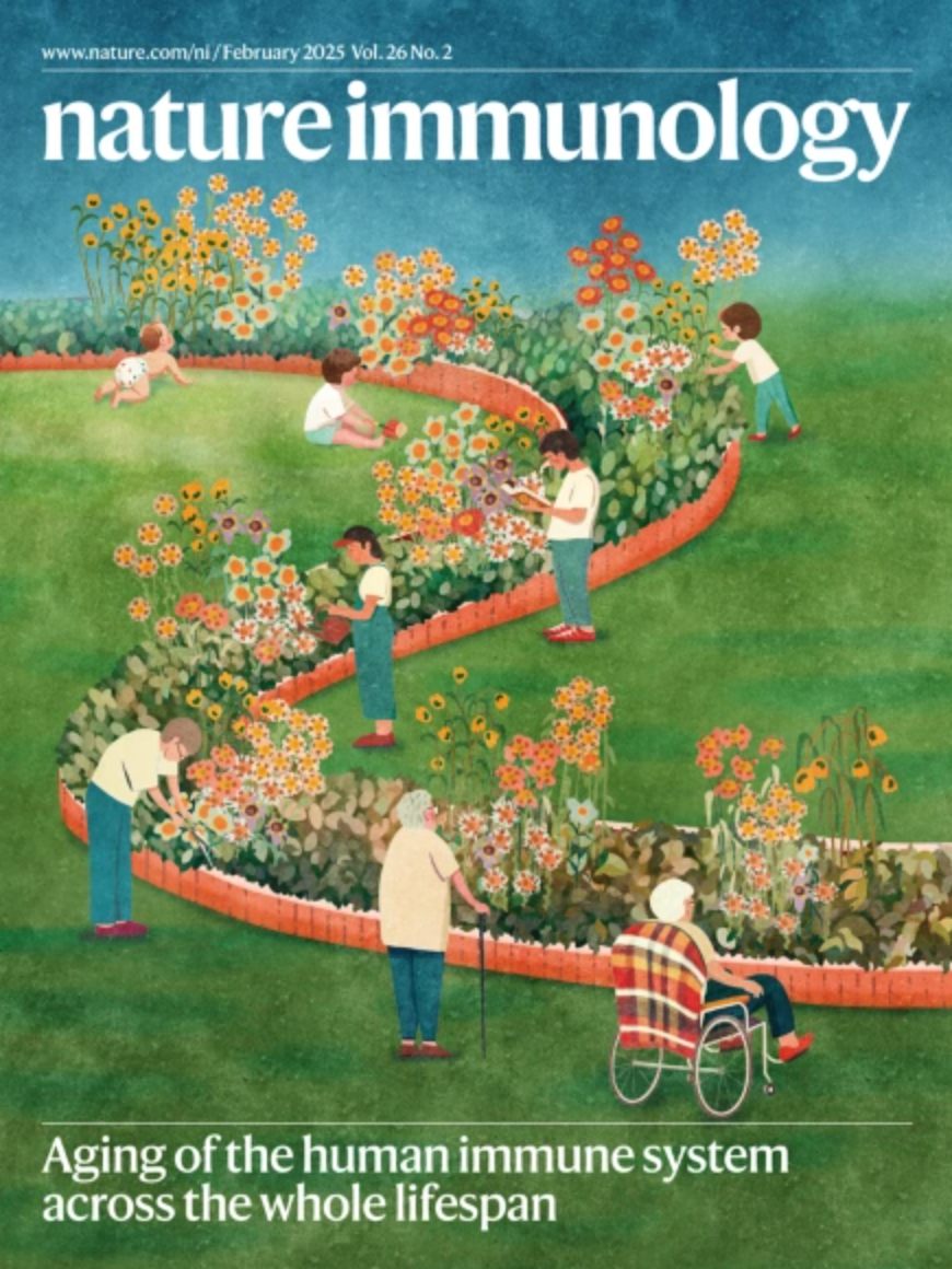 Nature Immunology封面论文：上海交大卜军团队绘制人类从出生到90岁的免疫系统衰老景观 - 赛索飞